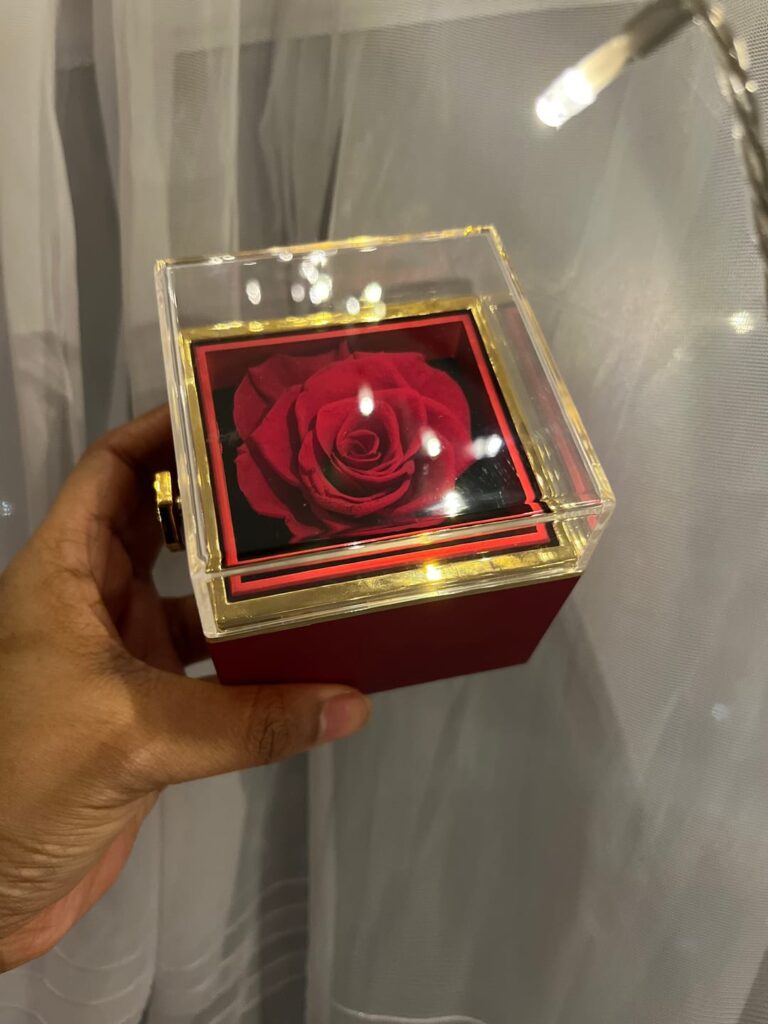 Rotating Eternal Rose Box Gift - W/ Engraved Necklace - Icy & Willard